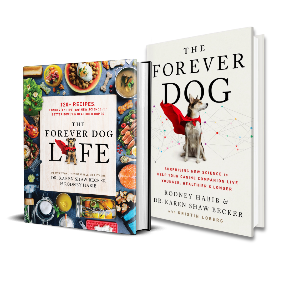 The Forever Dog Life and Forever Dog (signed copies) New York Times BE ...