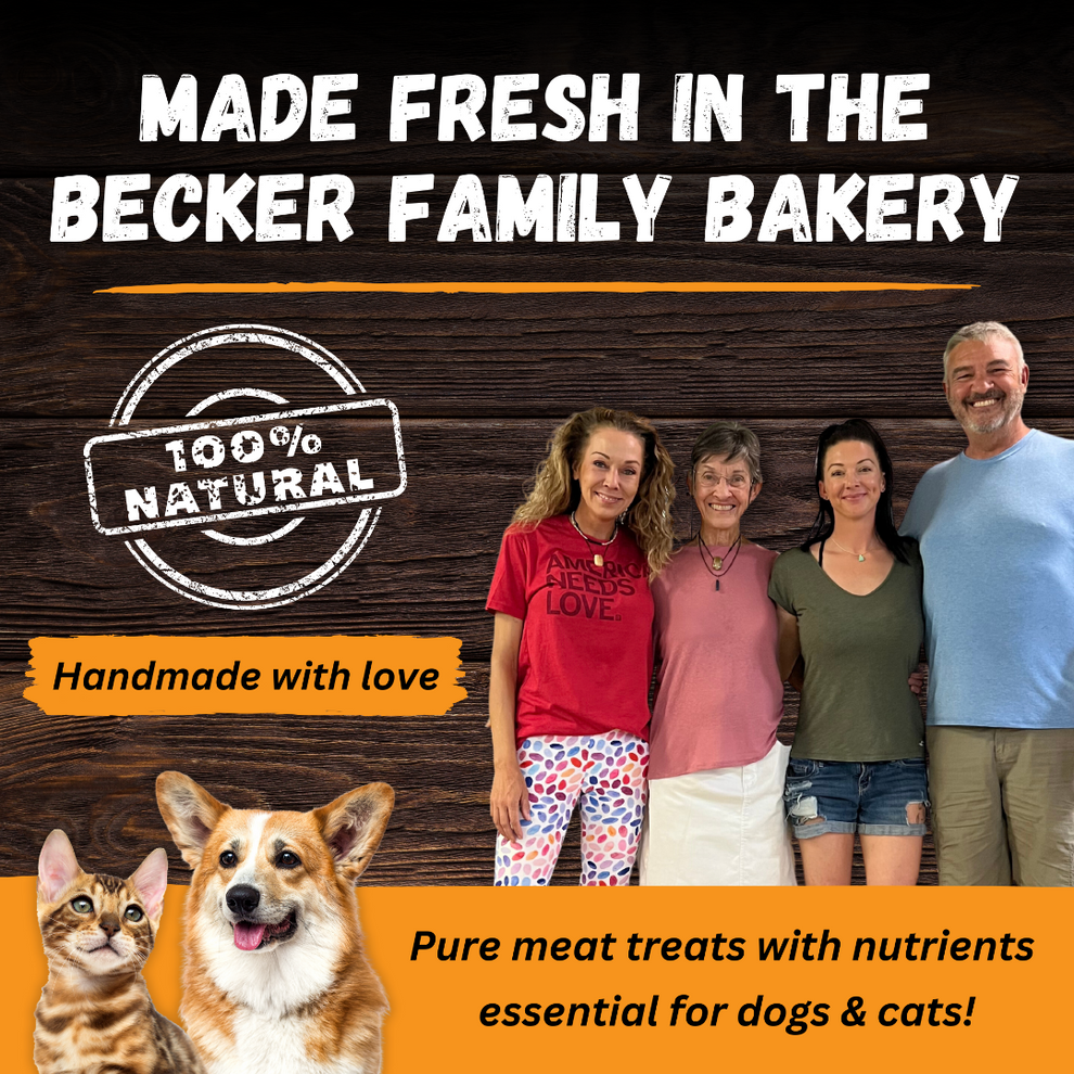 Dog & Cat Detox Treats: Dr. Becker's Detox Bites – Dr. Becker's Bites
